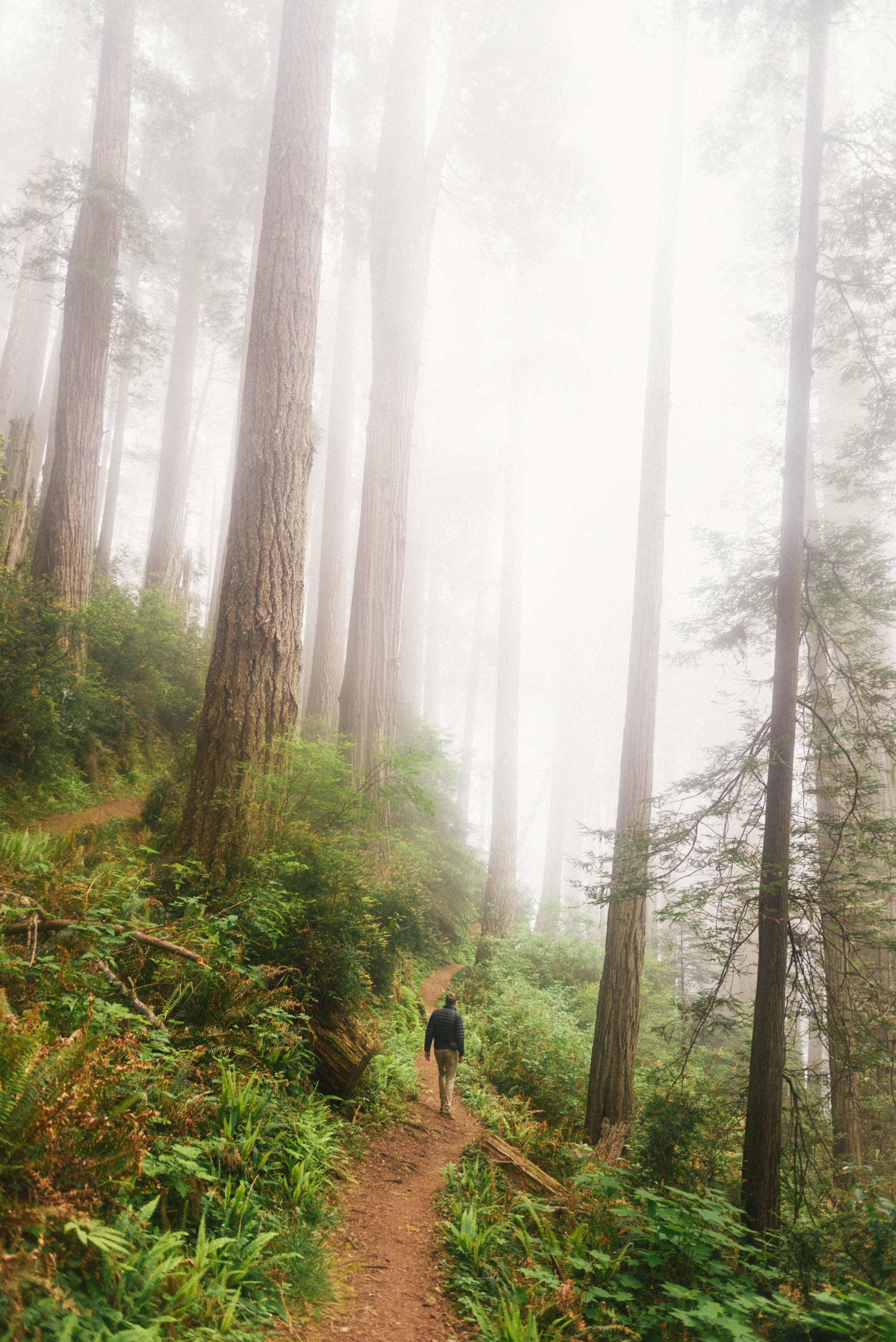Best Walking and Hiking Paths in TO | Downtown Toronto Hotels